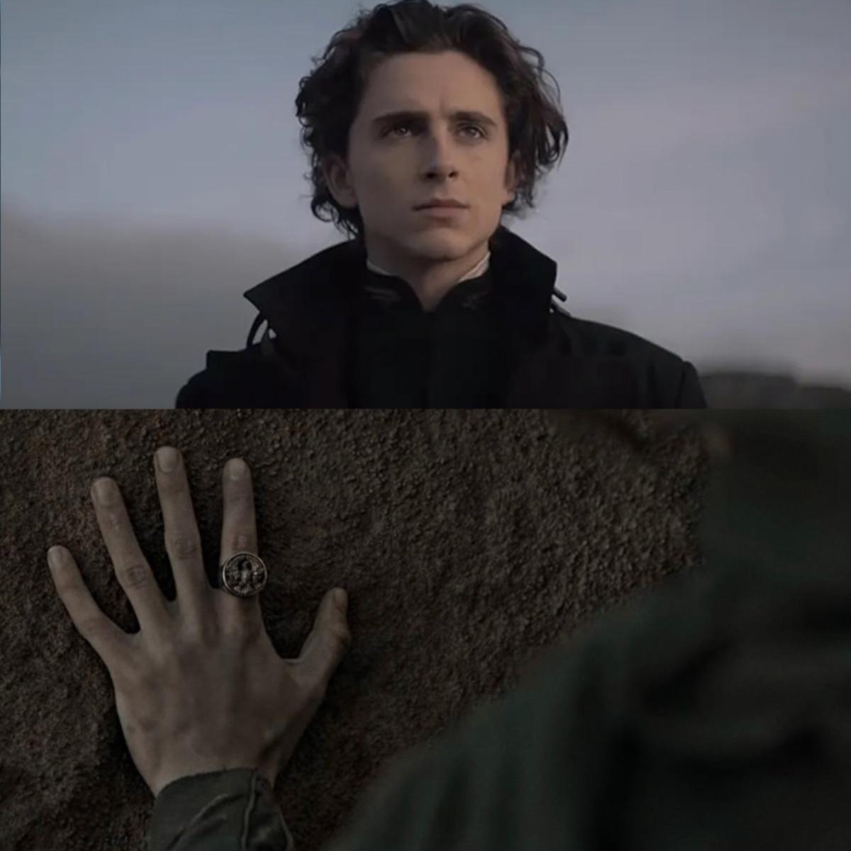 DUNE (2021) - REPLIQUE BAGUE DUKE LETO & PAUL DE LA MAISION DES ...